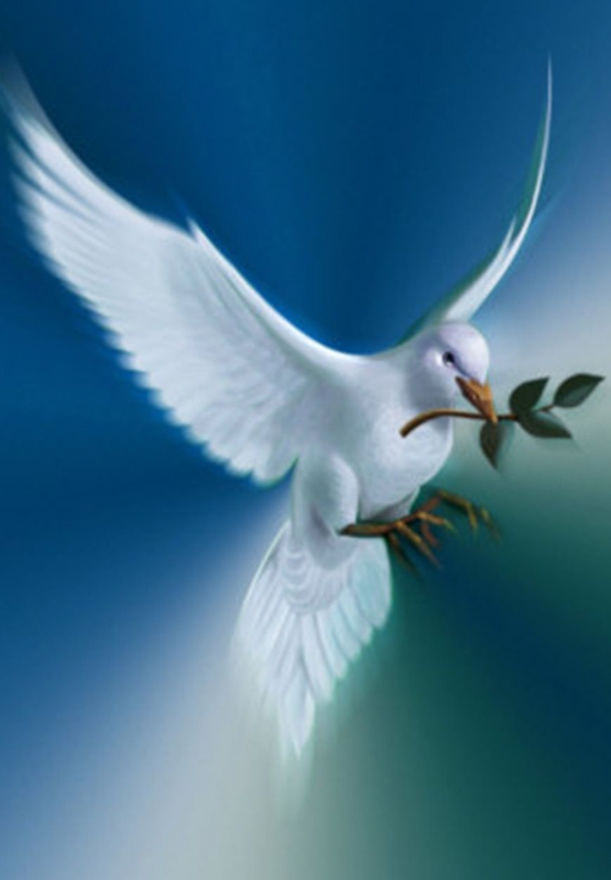 3 Dones de Poder del Espíritu Santo ¿Cómo Recibirlos? - La Luz